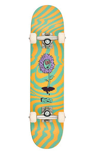 Shop Complete Skateboards Online Australia | Skate Connection
